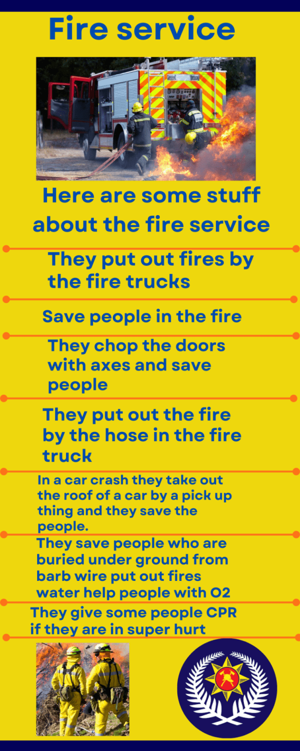 Fire service Infographic – Shreeya @ Hornby High School